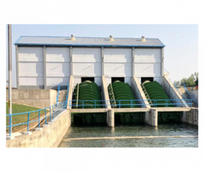 Case Studies – Jashindia