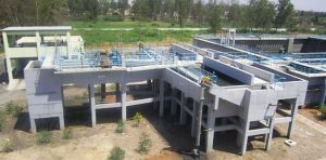 Detritor – Jashindia